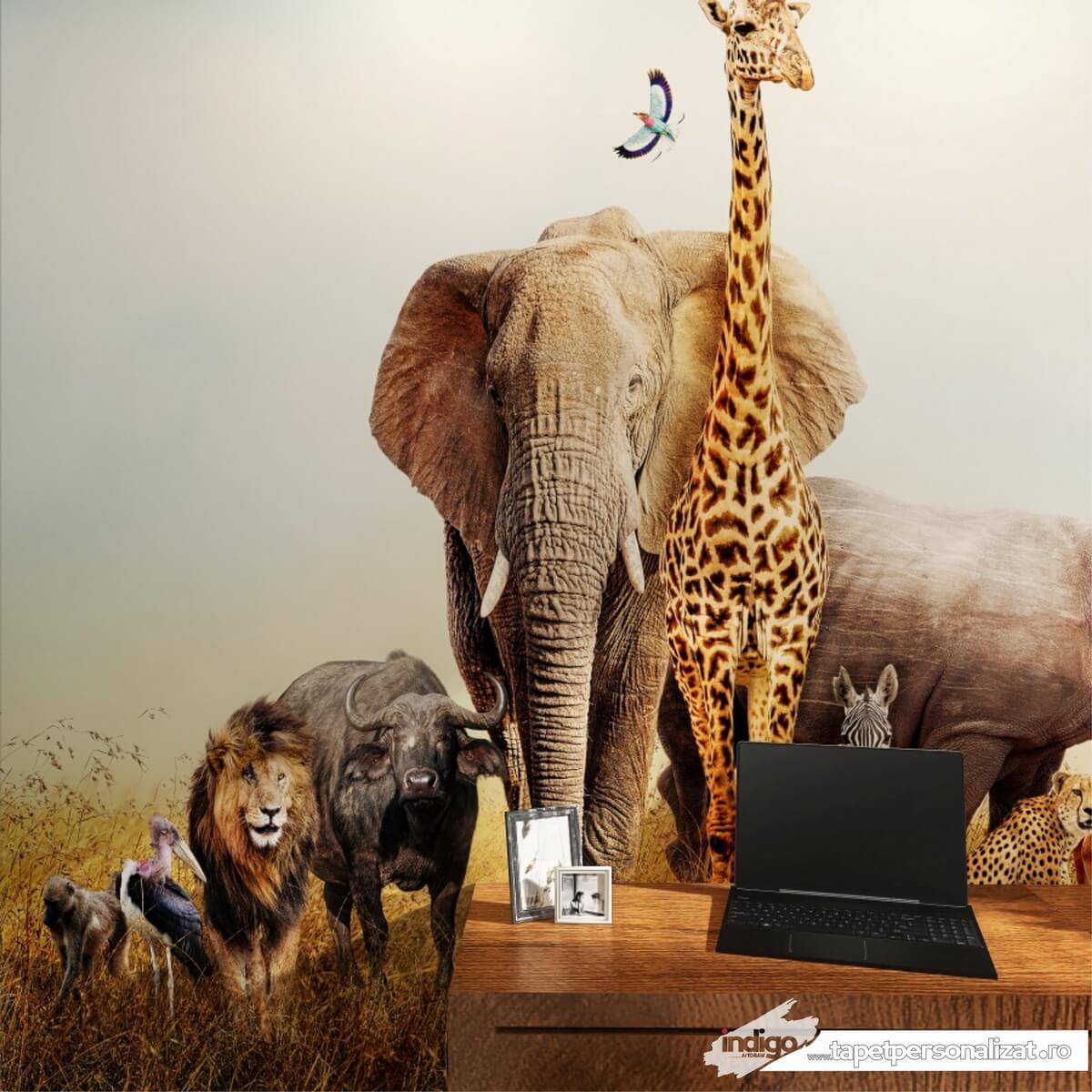 Model Tapet - Animale Savana - Tapet personalizat